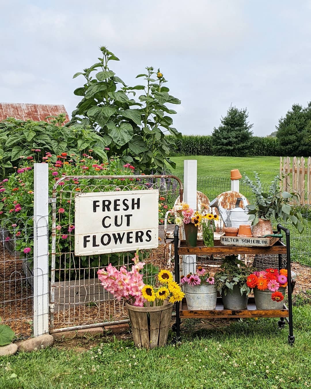21 Roadside Farm Stand Ideas to Stand Out | TheGrow