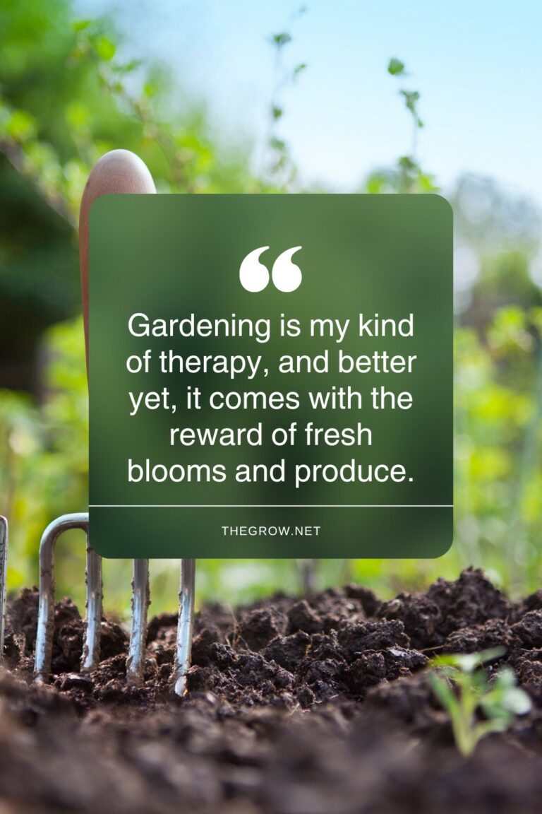 30 Gardening Quotes to Live By | TheGrow