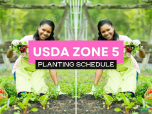 USDA Zone 10 Planting Schedule For 2025 | TheGrow