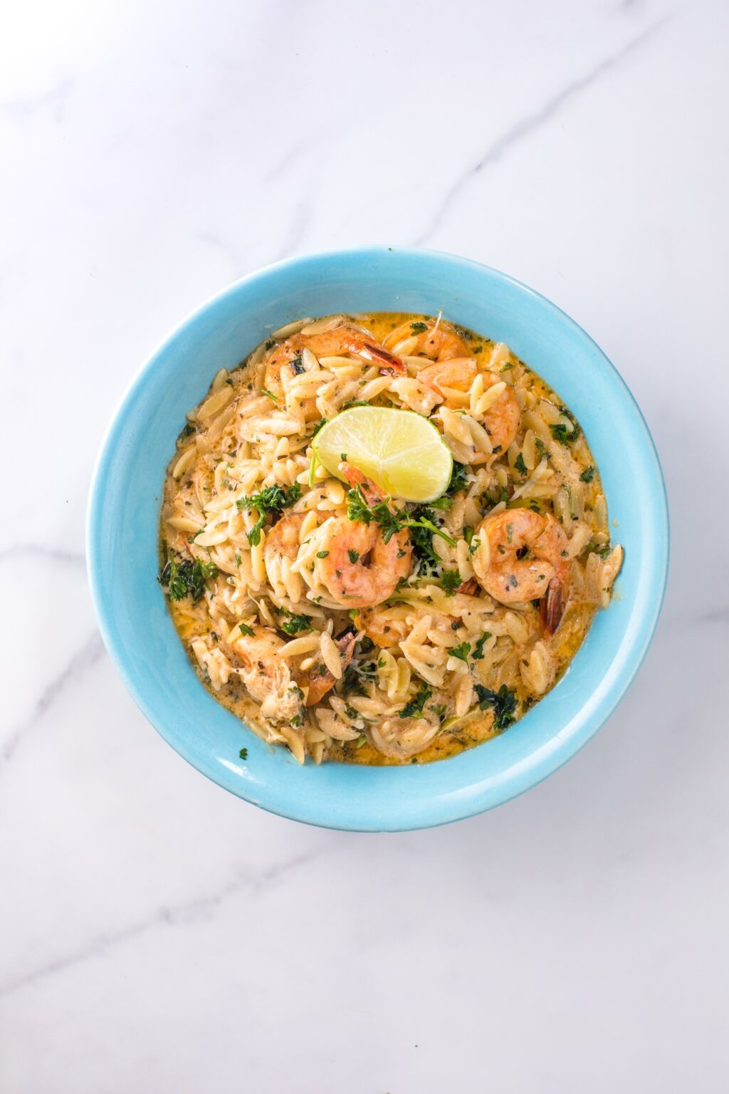 15 Delicious Orzo Pasta Recipes | TheGrow