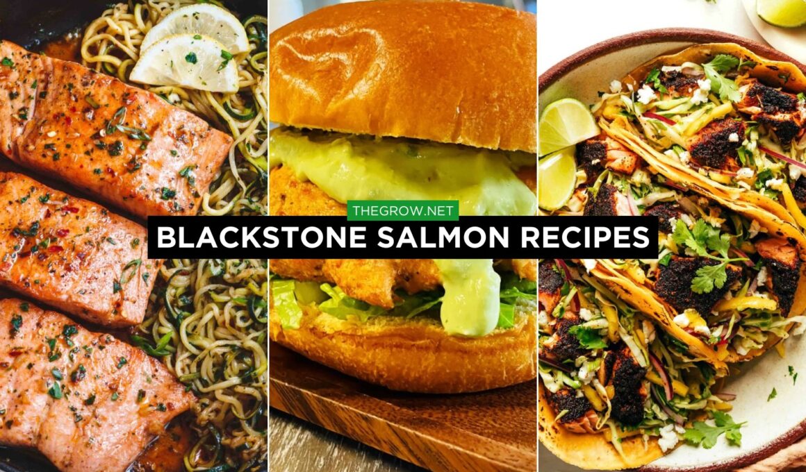 16 Best Blackstone Salmon Recipes | TheGrow