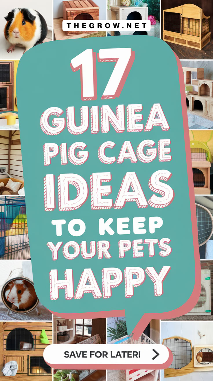 17 Guinea Pig Cage Ideas to Keep Your Pets Happy | TheGrow